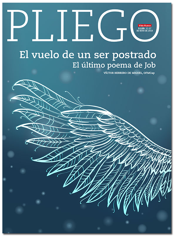 El vuelo de un ser postrado. El último poema de Job